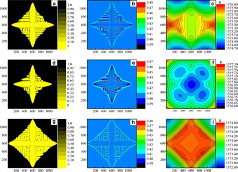 Dendrite Morphology Concentration And Temperature Distribution