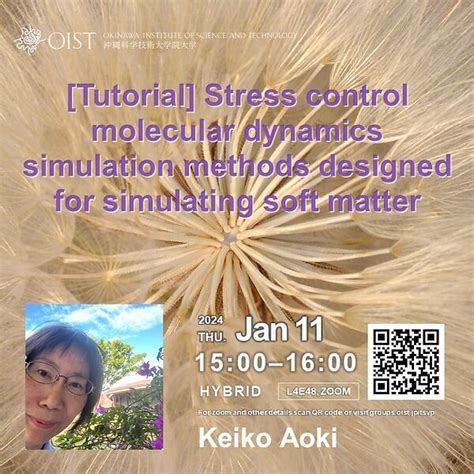 Tutorial Stress Control Molecular Dynamics Simulation Methods