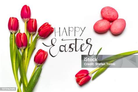 Kartu Happy Ester Dengan Rangkaian Bunga Tulip Merah Rata Berbaring Di Latar Belakang Putih