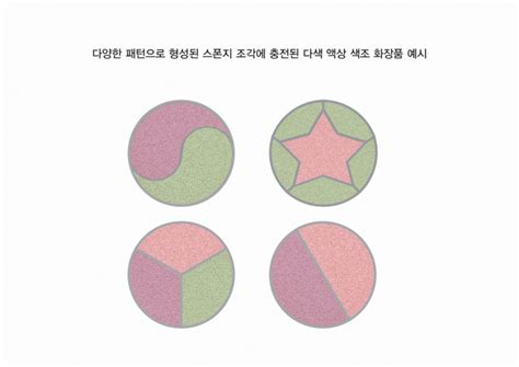 코스메카코리아 다색액상 색조 화장품 일본 특허 취득 제니파크 주간코스메틱신문