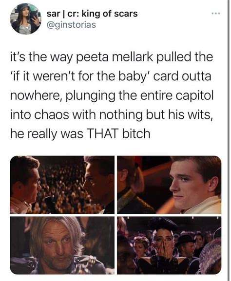 Pin By Sierra On Hunger Games Trilogy Hunger Games Hunger Games Humor Hunger Games Memes