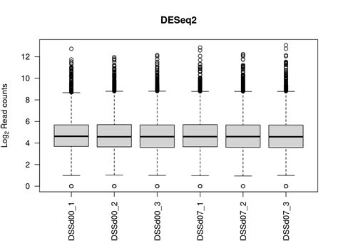 Data Preprocessing