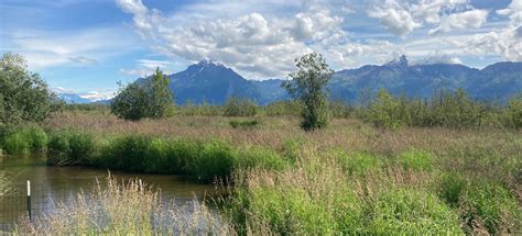 Wasilla Creek Boardwalk Alaska 159 Reviews Map Alltrails