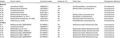 Bacteria And Archaea Anode Identified In The Mfc 1 Using Rflp
