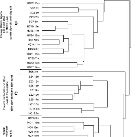 Dendrogram Of Samples Braycurtis Similarity Of Download