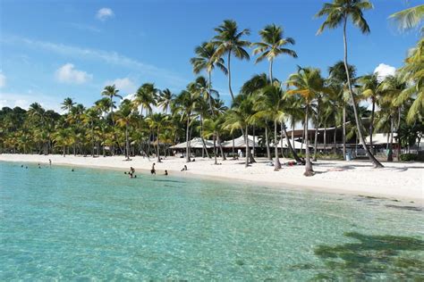 Beaches In Guadeloupe Near Cruise Port