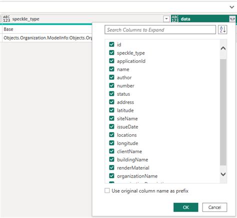 Revit Speckle Power Bi Custom Project Information Parameters Not