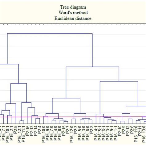 Diagram Of Hierarchical Classification Of Variable Categories Support