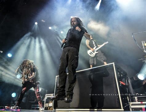 Korn 2014 Korn Concert Photography Music Pictures