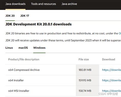 Java开发环境jdk安装验证2023新jdk20不需要配置环境变量吗 Csdn博客 Java开发环境jdk安装验证2023新jdk20不需要配置环境变量吗 Csdn博客