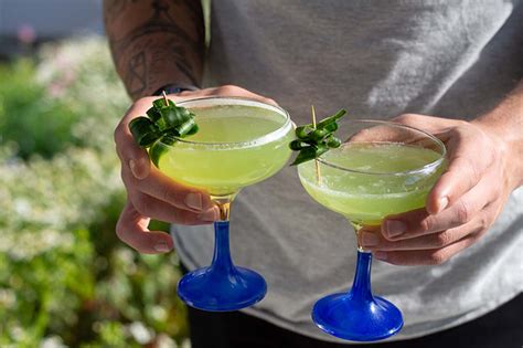 Cucumber Juice Cocktail