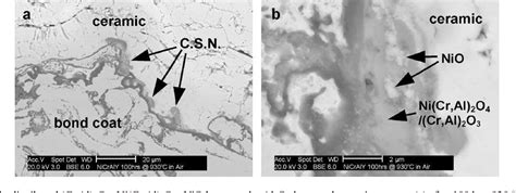 Figure 4 From Oxidation And Crack Nucleationgrowth In An Air Plasma