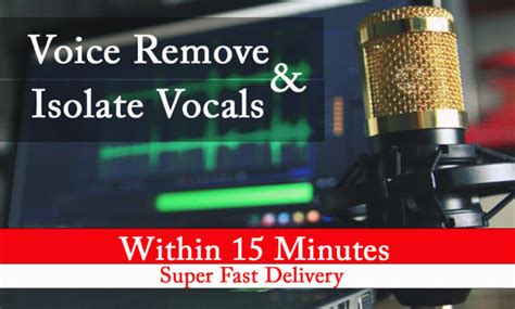 Remove Vocals Professionaly From Any Audio By Mexiodigital Fiverr