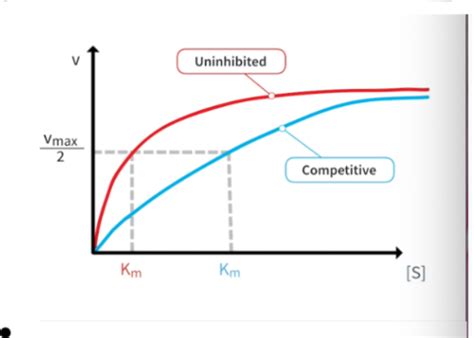 Inhibitors Flashcards Quizlet
