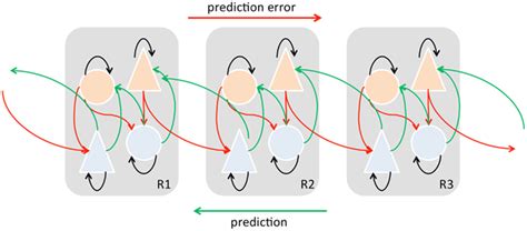 Frontiers An Interoceptive Predictive Coding Model Of Conscious Presence