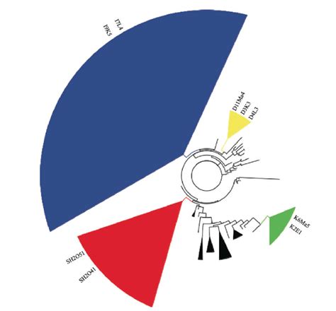Maximum Likelihood Tree Of Concatenated Vibrio Phylotype Gene Sequences Download Scientific