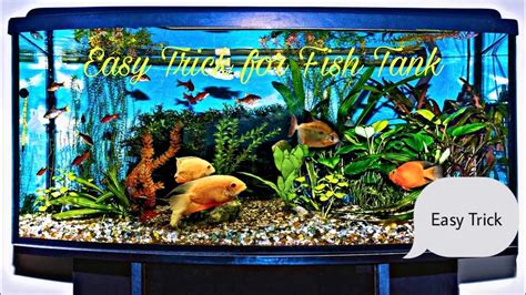 Easy Trick For Making Fish Tank YouTube