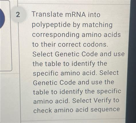 Solved 2 ﻿translate Mrna Into Polypeptide By Matching