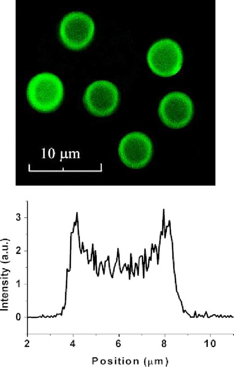 Figure 3 From Youngs Modulus Of Polyelectrolyte Multilayers From