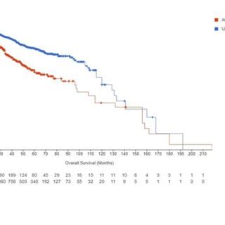Overall Survival Analysis Download Scientific Diagram