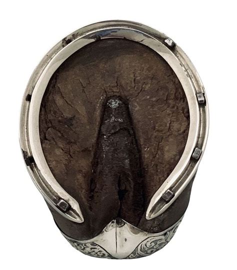 Edwardian Sterling Silver Mounted Horse Hoof Table Snuff Box Cynthia