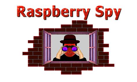 Raspberryspy Looking Out For Raspberry Pi