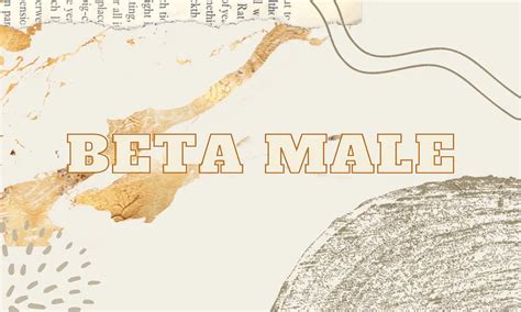 12 Karakteristik Beta Male Lengkap Perbedaan Dengan Alpha Male Parboaboa