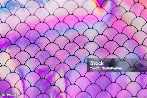 네온 홀로그램 스케일 패턴입니다 인어 요정 배경입니다 무지개에 대한 스톡 사진 및 기타 이미지 무지개 뱀 홀로그램 Istock