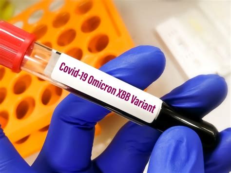 Who ने कोरोना की नई लहर पर जताई चिंता तेजी से फैल रहा है Xbb15 सब