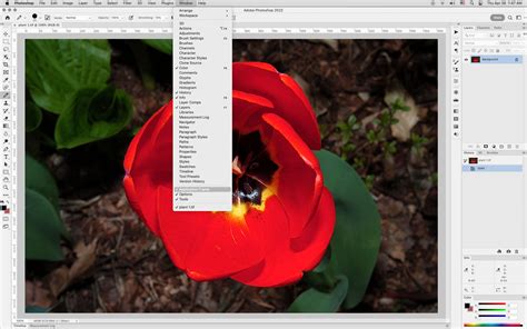 Solved The Image Window Doesnt Snap To The Border Adobe Community 12909499