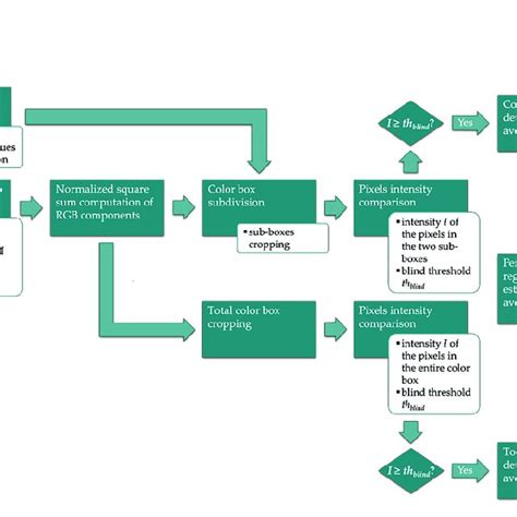 Flow Chart Of The Image Analysis Based Method For Amvs Parameter Download Scientific Diagram