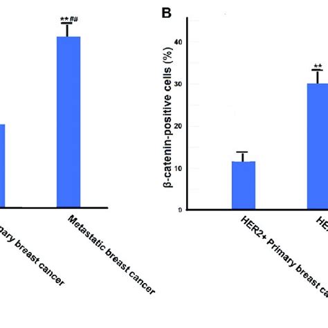 Cellular Localization And Immunoprecipitation Of β Catenin And Her2 Download Scientific