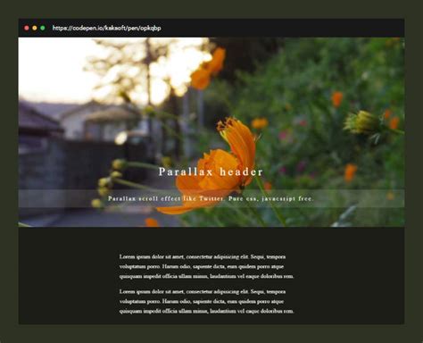 25 Pure Css Parallax Scrolling Examples Bashooka
