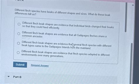 Different Finch Species Have Beaks Of Different