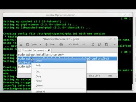 Install LAMP Server In Ubuntu Server LTS Precise Pangolin Webm YouTube