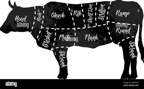 Beef Cuts Silhouette Cow Stock Vector Images Alamy