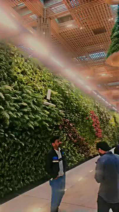 Sreeja Nair Posted On Linkedin