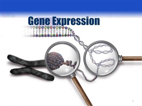 Transcription Process Pptx