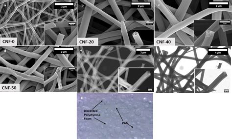 Sem Images Showing Morphology Of The Synthesized Cnfs A Cnf 0 B
