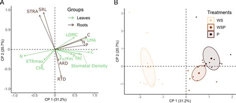 A Correlation Circle Of Variables To The First Two Dimensions Of The