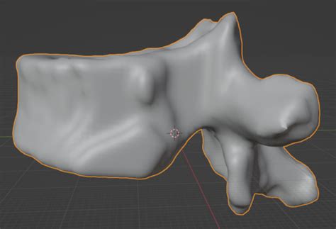 3d Model Of Thoracic Vertebrae Spine And Pelvis