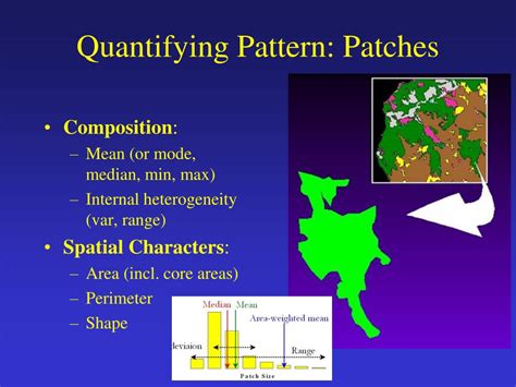 Ppt Why Quantify Landscape Pattern Powerpoint Presentation Free