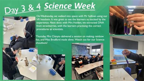 Science Week Day 3 And 4 💚 🔗 The Link Academy
