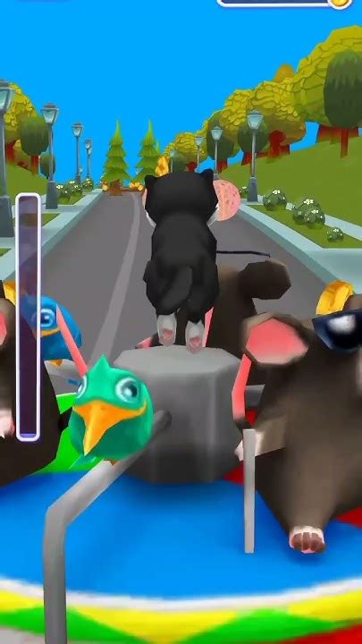 Cat Video🐱😆😅😆🤣 Youtube