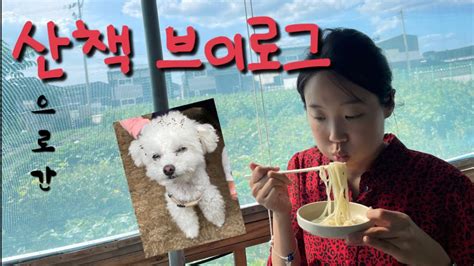 가을소풍 시월이 산책 브이로그인데 시월이를 곁들인언니 생일 축하해 Youtube