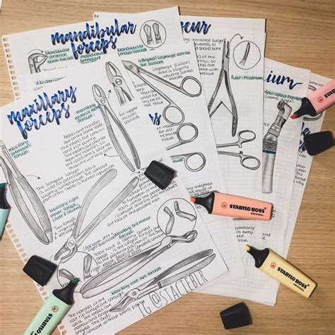 Dental Notes Templates