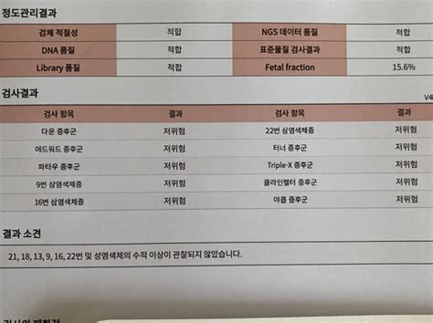 임신 17주~20주 증상 다운증후군 고위험군 곽여성병원 니프티 검사 비용 성별 확인 네이버 블로그