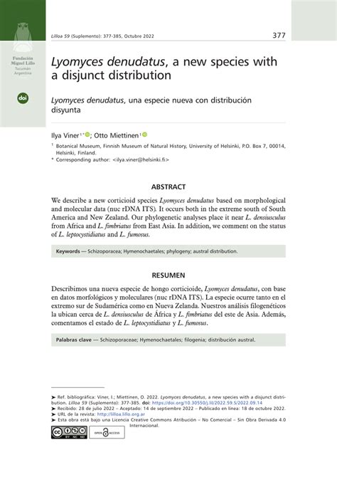 Pdf Lyomyces Denudatus A New Species With A Disjunct Distribution
