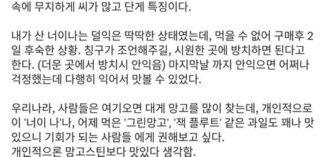 환상의 과일