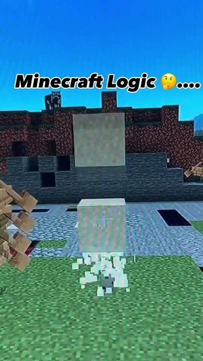 minecraft logic 🤔 shorts youtube